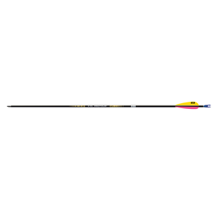 Easton X10 Protour Fletched Arrows - Dozen | Clickers Archery