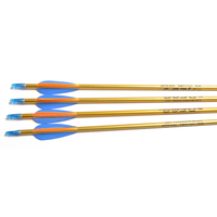 Arrows | Clickers Archery