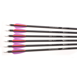 Easton X7 Eclipse Fletched Arrow - Single | Clickers Archery